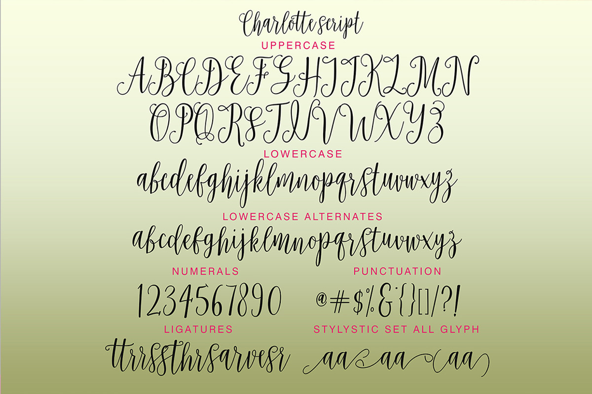 Charlotte Script, a Script Font by Genesis Lab