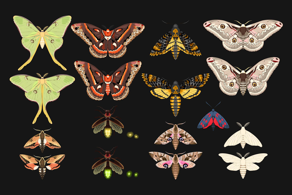 Moths and Fireflies Patterns, a Pattern Graphic by GreyLilac