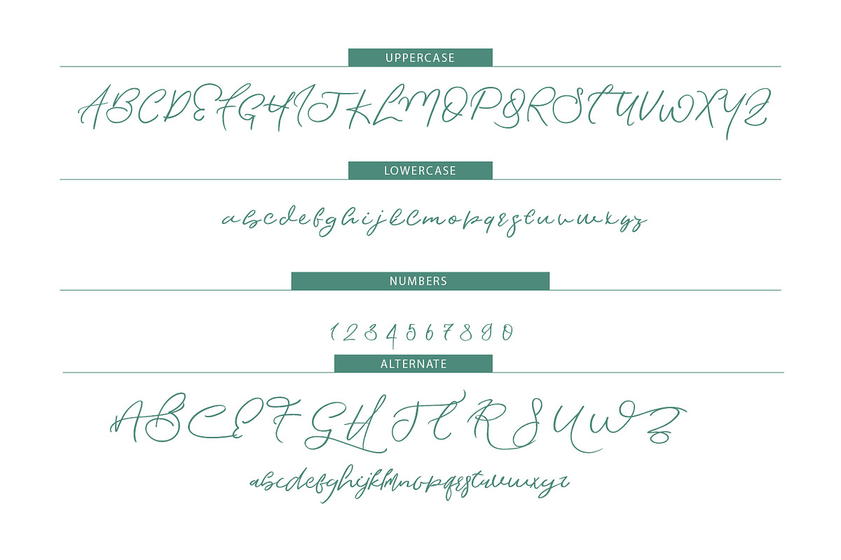 Waterlife, a Script Font by Design Dukkan
