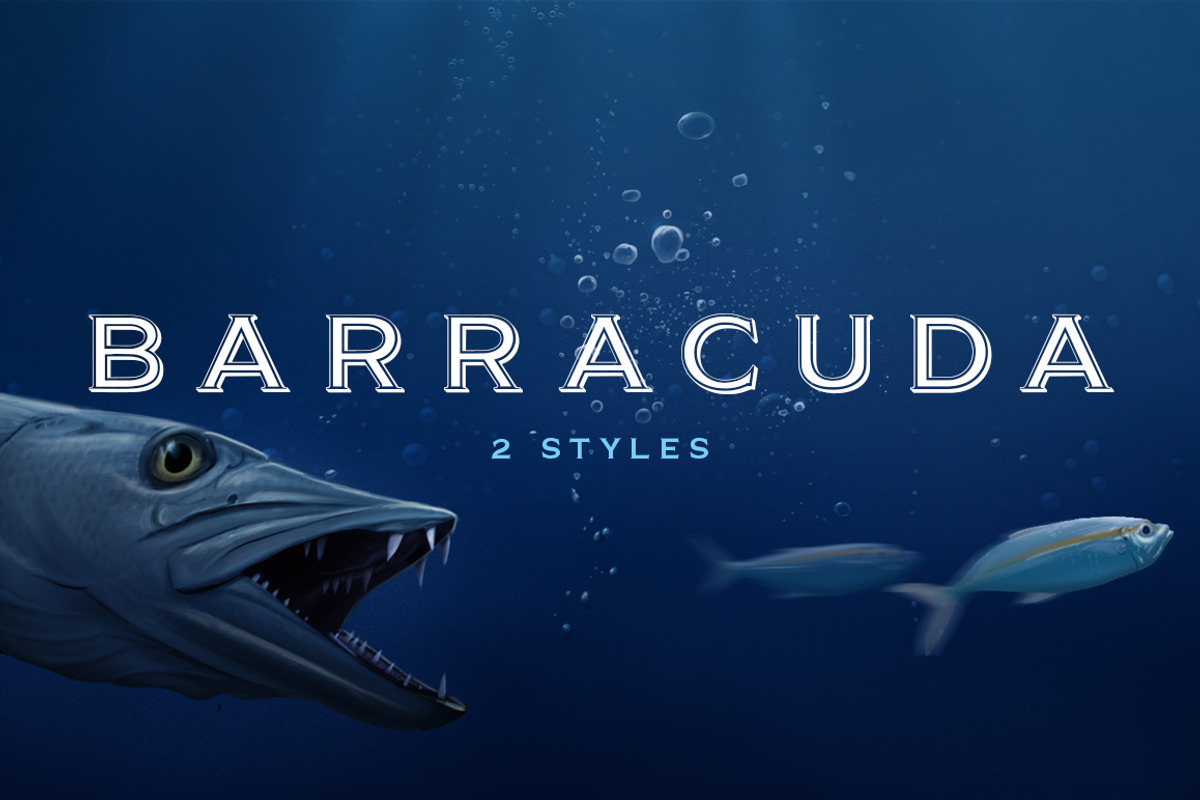 Barracuda Display - Logo Font, a Serif Font by vatesdesign