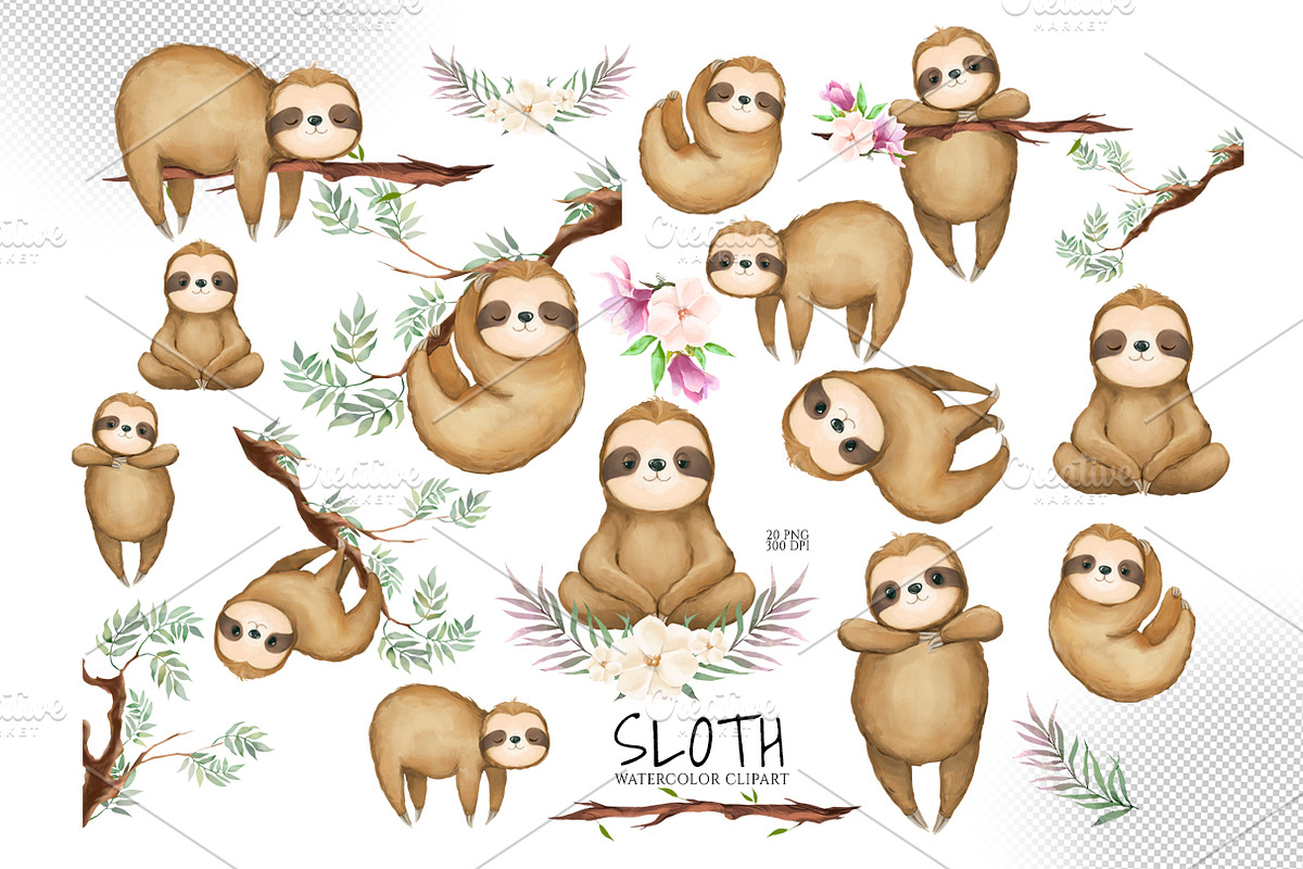 Cute Sloth Watercolor Clipart, an Animal Illustration by StudioBeeArt