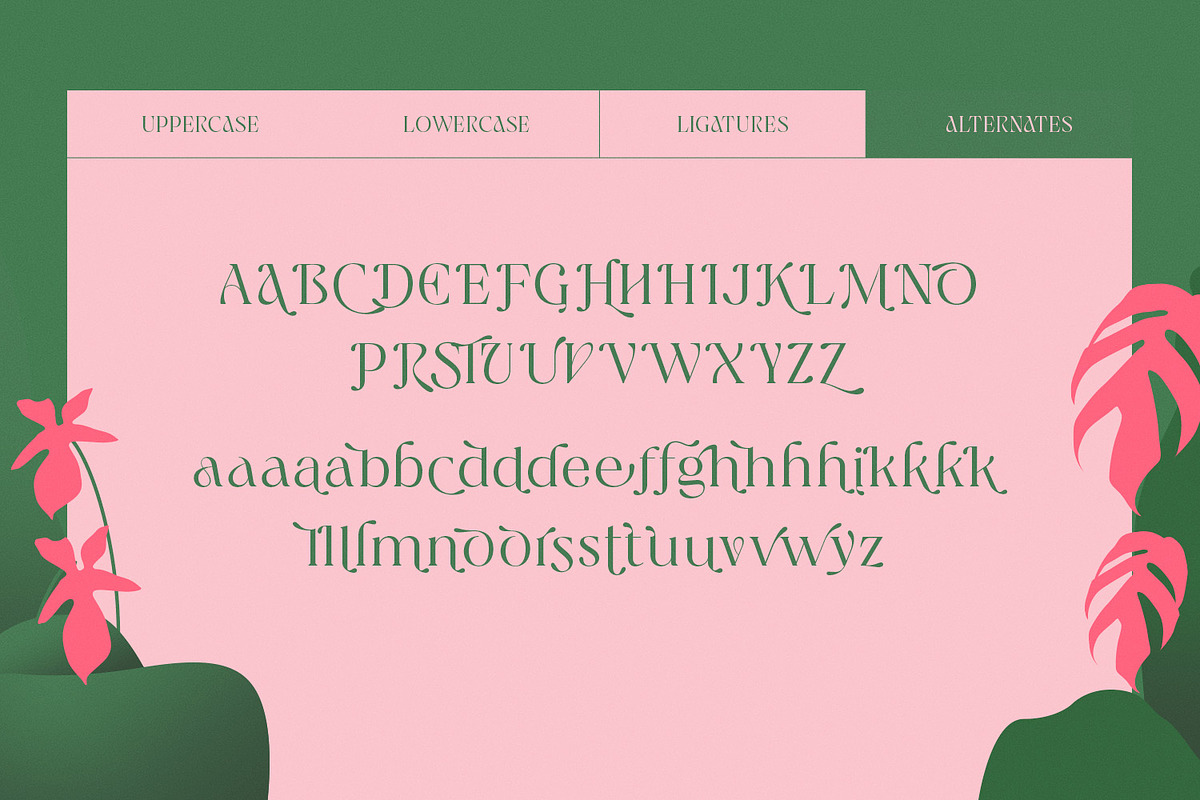 Jaella - Modern Serif Font, a Serif Font by creativemedialab
