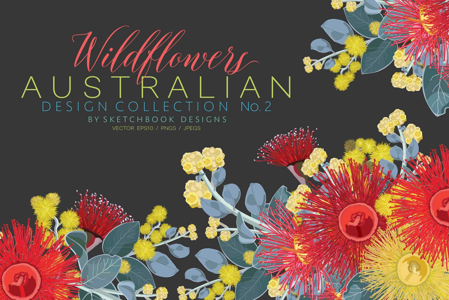 Wildflowers Australian Design Set, an Illustration by Sketchbook Designs