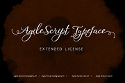 Agile Script Extended License | Script Fonts ~ Creative Market