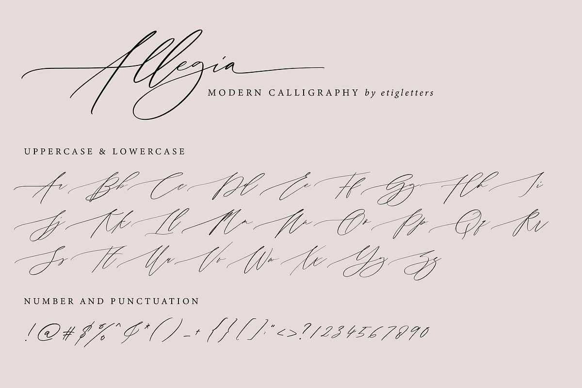 Allegia Handwritten Wedding Font, a Handwritten Font by etigletters