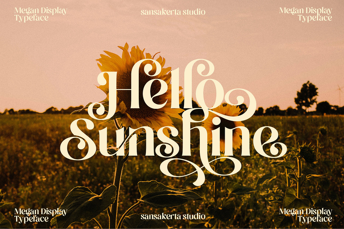 Megan Display Font, a Sans Serif Font by INKSUN™