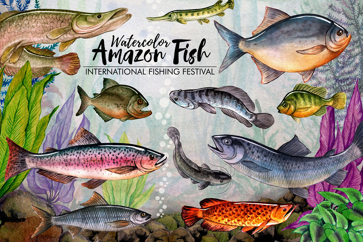 Amazon Fishing Watercolor, an Illustration by Graphobia