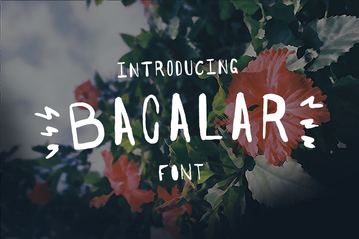Bacalar Font, a Handwritten Font by Landdy