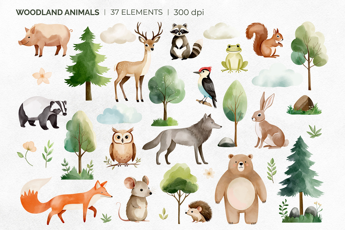 Woodland Animals. Watercolor Clipart, an Illustration by Hanna's ArtLab