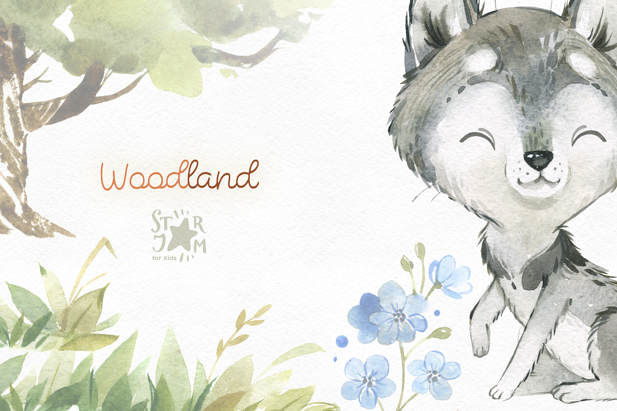 Woodland. Animal Collection, an Animal Illustration by StarJam