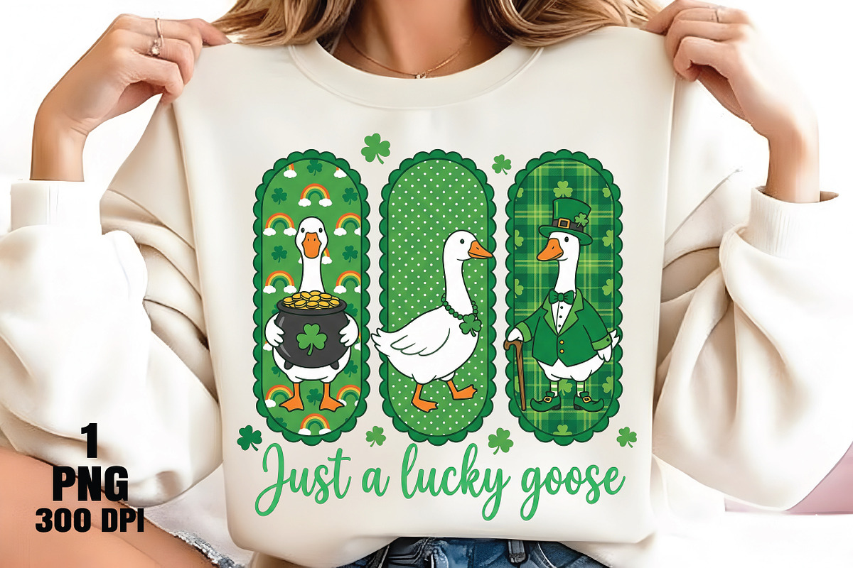 St Patrick’s Day Goose PNG, an Illustration by Daily.Designs
