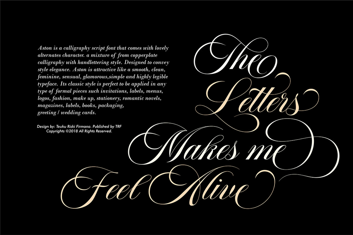 Aston Script Pro, a Script Font by TRF Fonts
