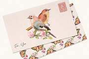 Spring Birds of Spring Watercolor, a Decorative Illustration by ...