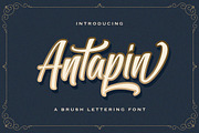 Antapin - Bold Script Font, a Script Font by StringLabs | Creative Market