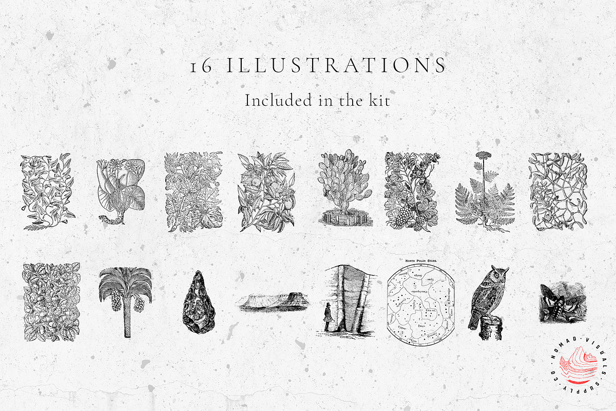 Storytelling Animated Stories Kit, a Social Media Template by Nomad Visuals