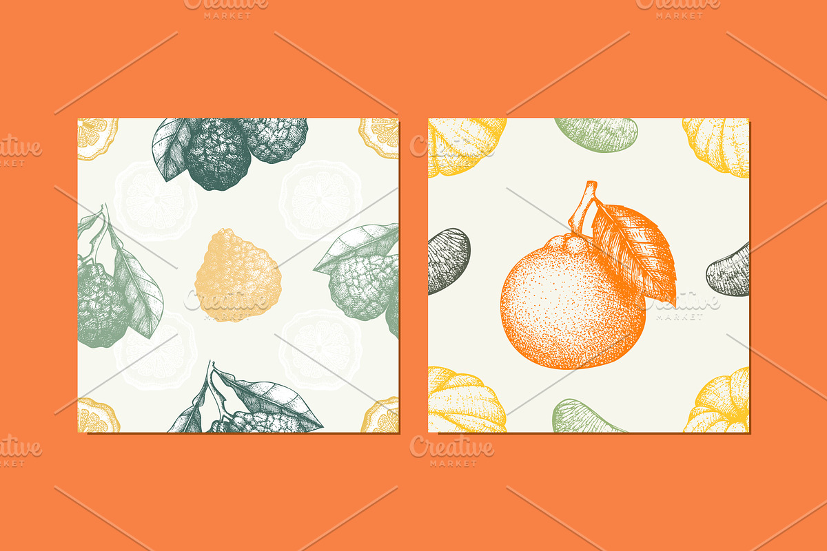 6 Seamless Citrus Fruits Patterns, a Pattern Graphic by Yevheniia