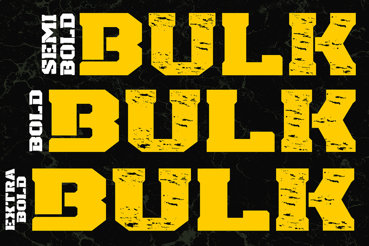 BULK FONT FAMILY (12 FONTS), a Font by Alphabet Agency