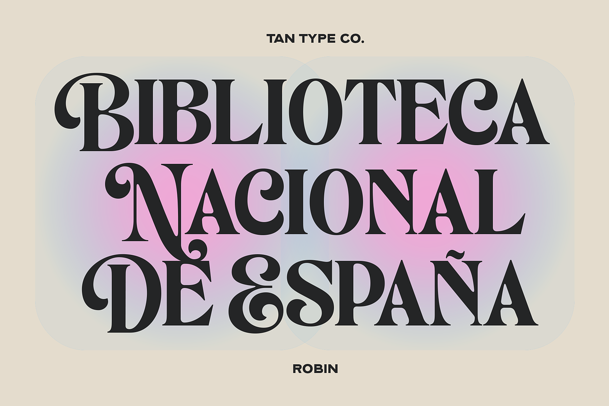 TAN - ROBIN, a Serif Font by TanType