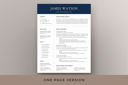 Modern Executive Resume CV Template | Resume Templates ~ Creative Market