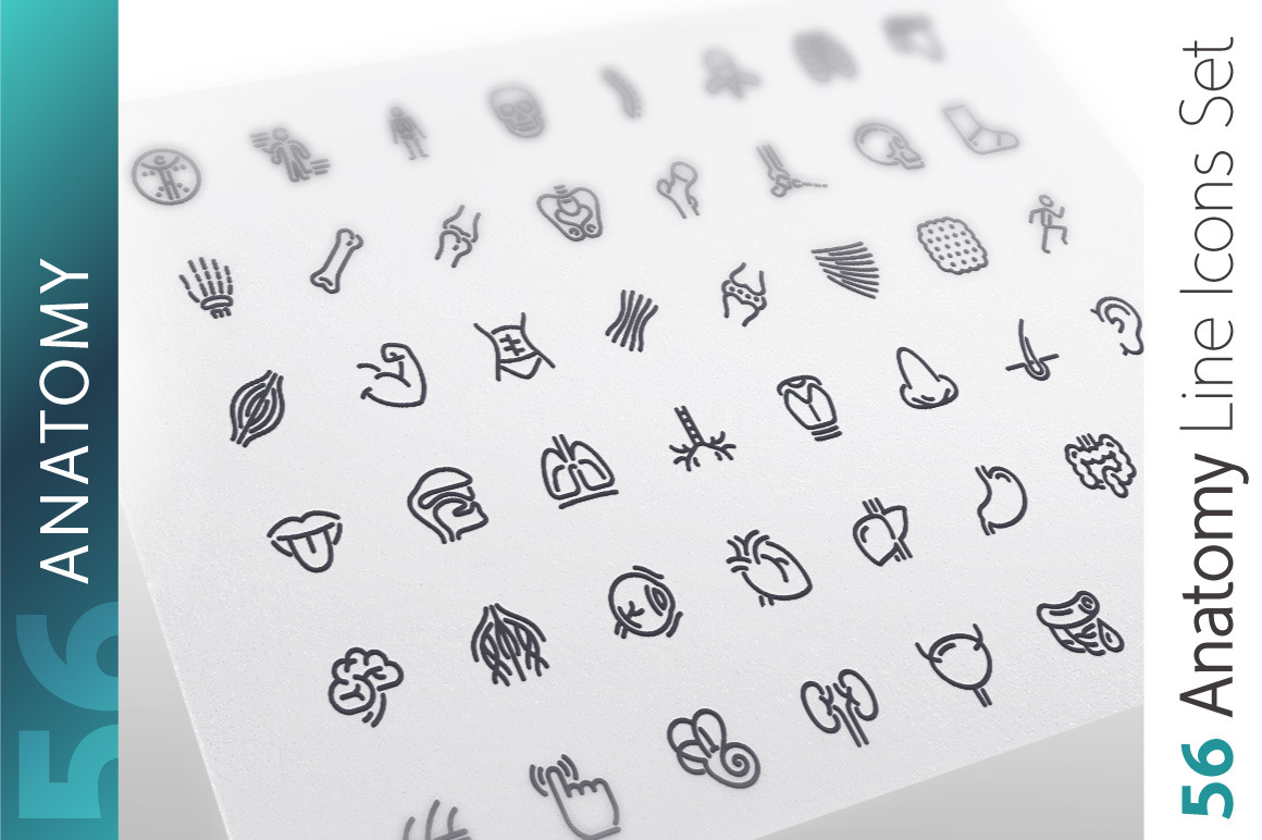 Anatomy Line Icons Set, an Outline Icon by Voysla's Shop