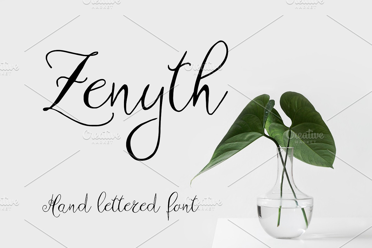 Zenyth Font, a Script Font by Digital Typeface Studio