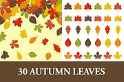 Digital Autumn Leaves Clip Art, an Illustration by TheCreativeMill