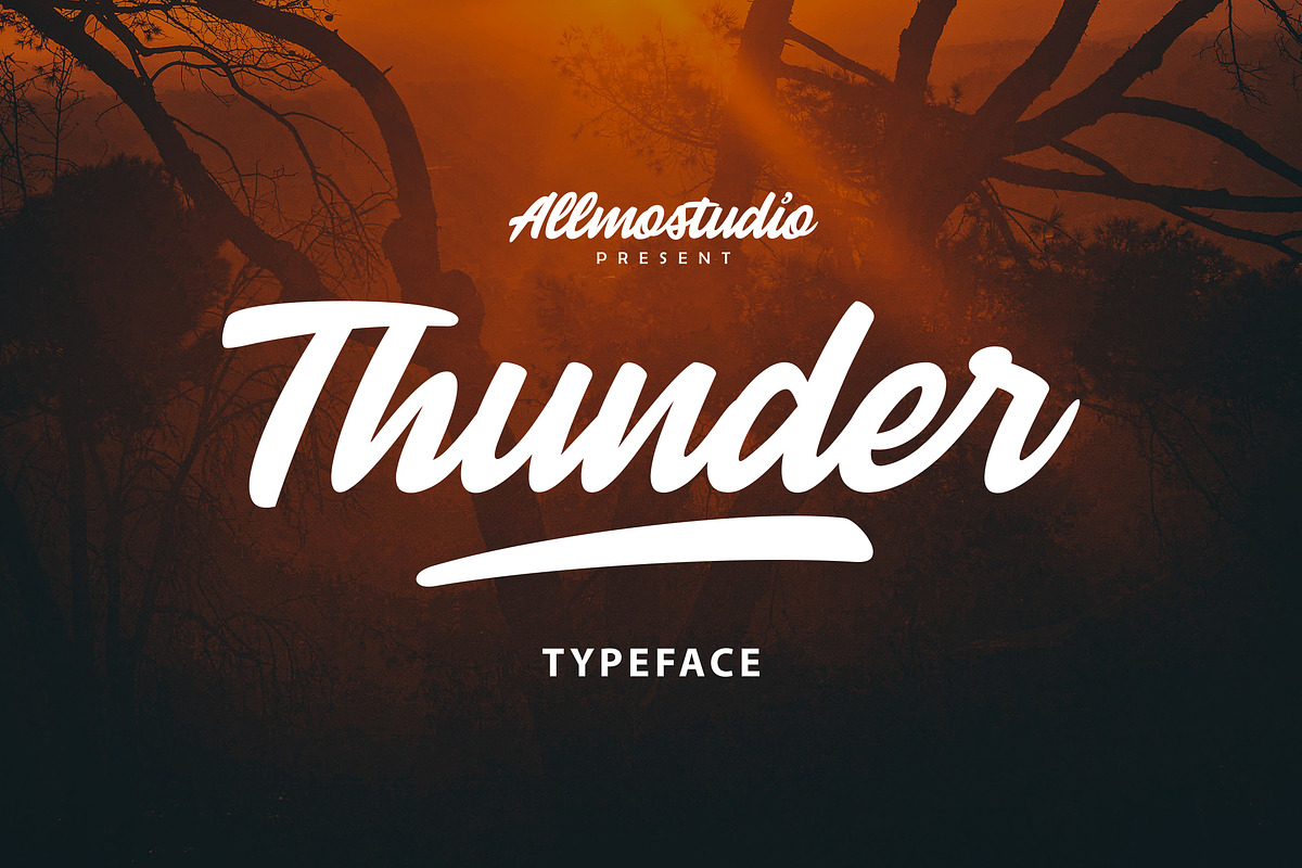 Thunder, a Script Font by Allmostudio