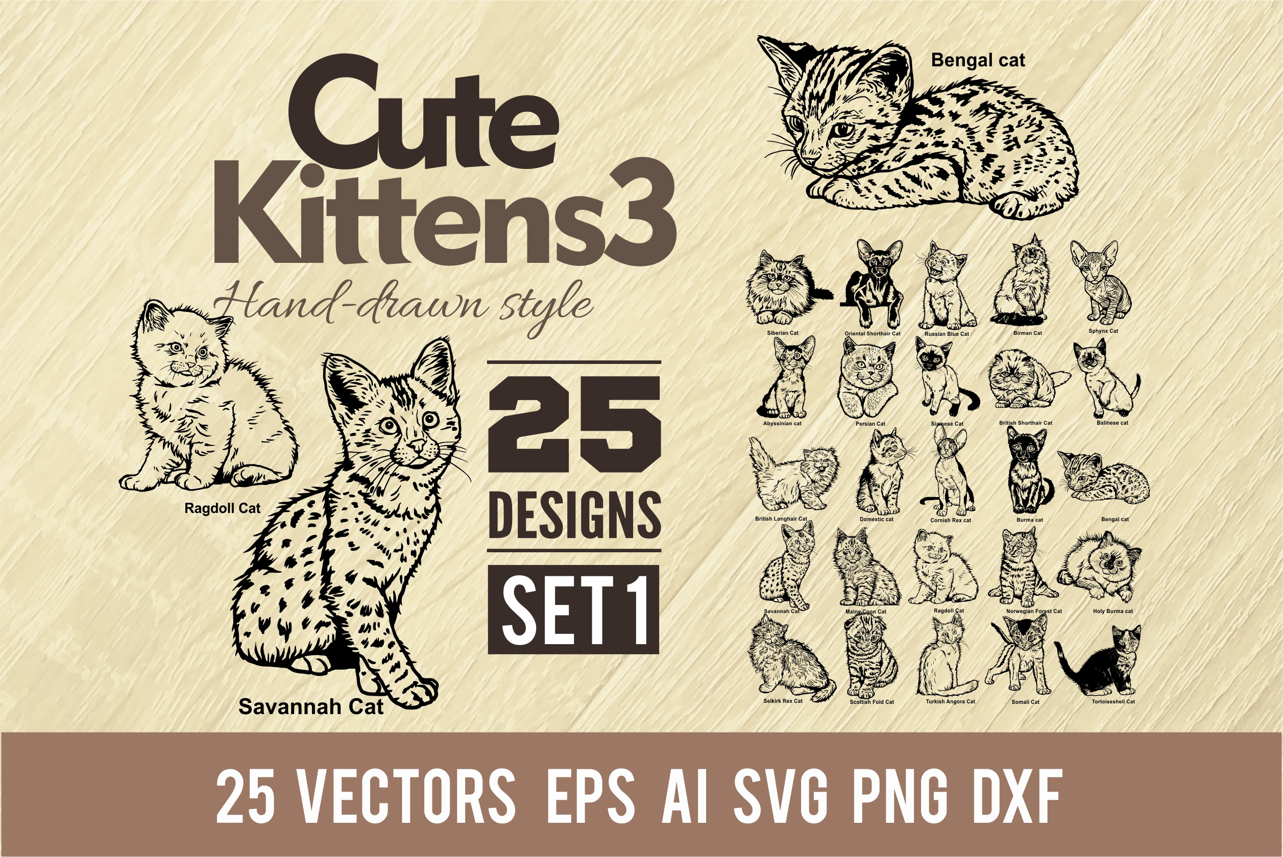 Cute Cats Set 3 BUNDLE 25 vector SVG, an Animal Illustration by Digital ...