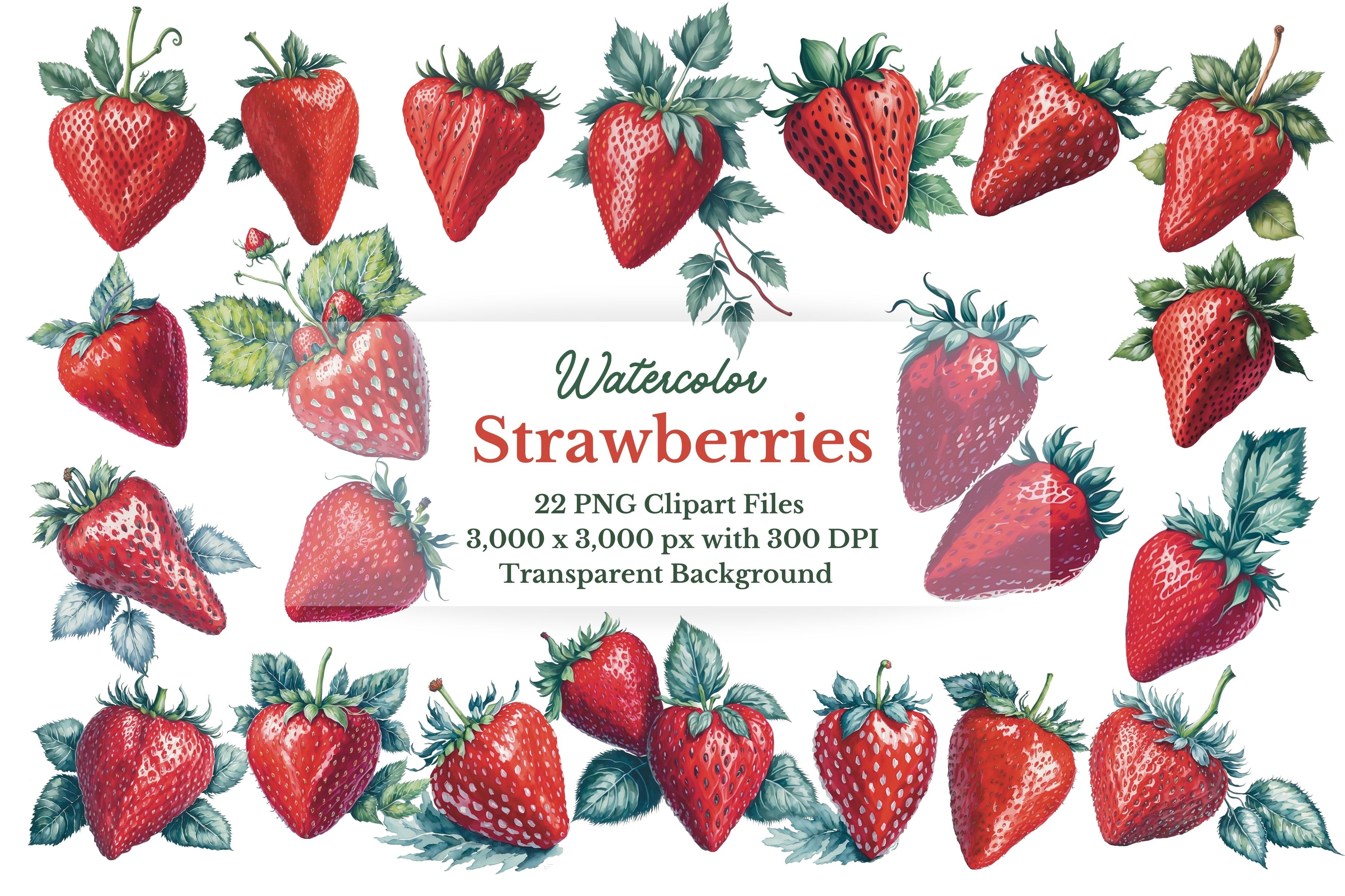 Watercolor Red Strawberry Graphics