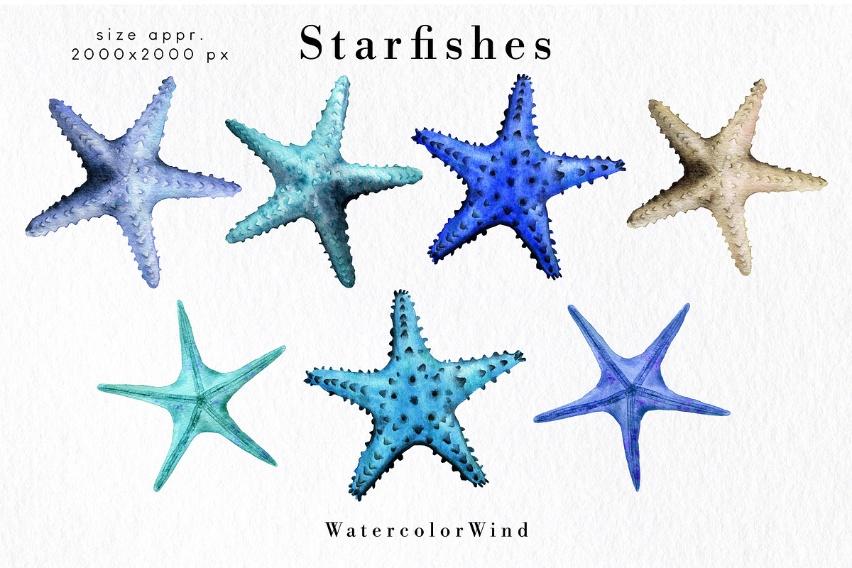 Beach Starfish Clipart Set, an Illustration by Ksenia Shmakova