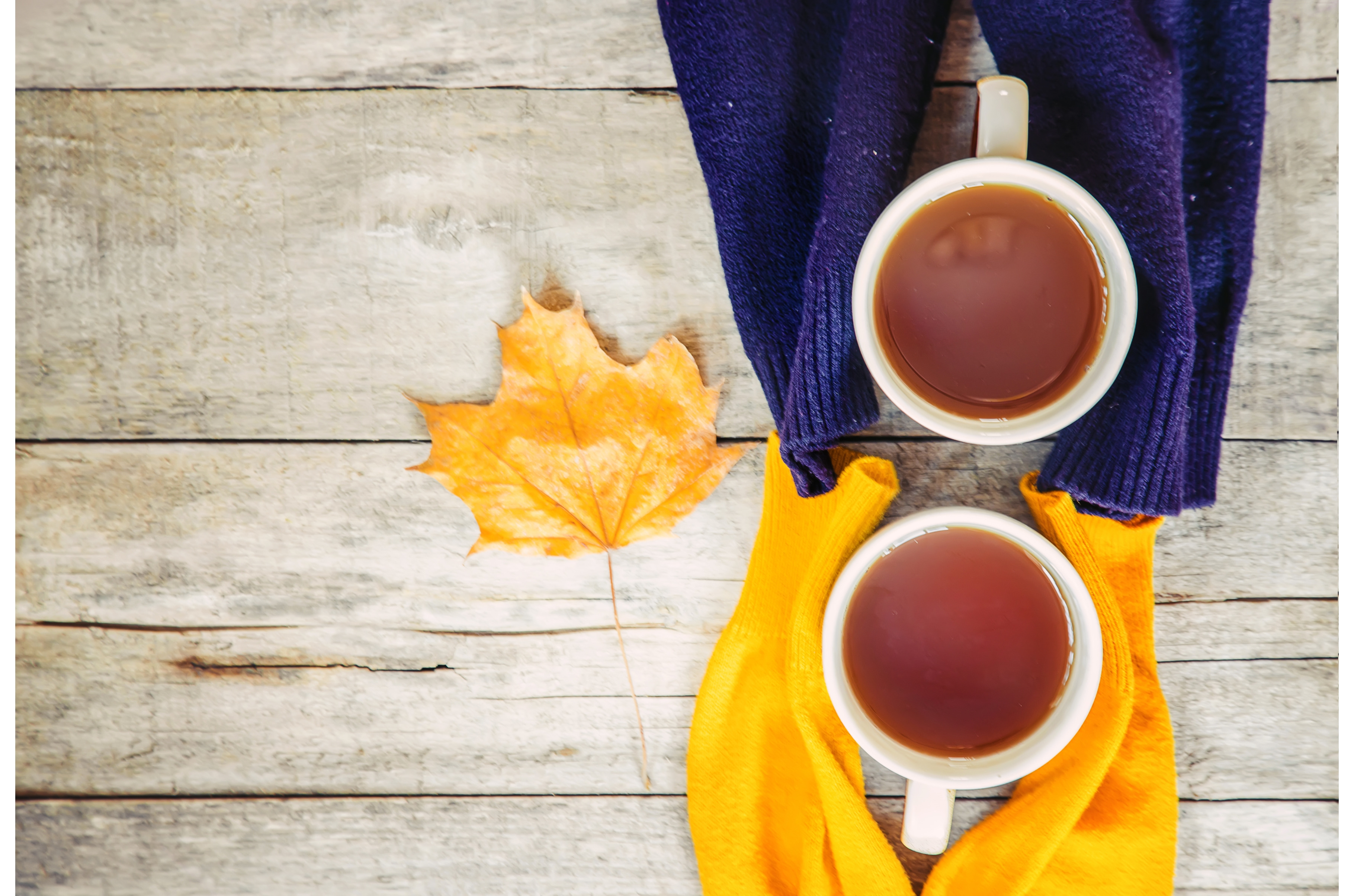 A cup of tea and a cozy autumn, a Food & Drink Photo by yanadjana