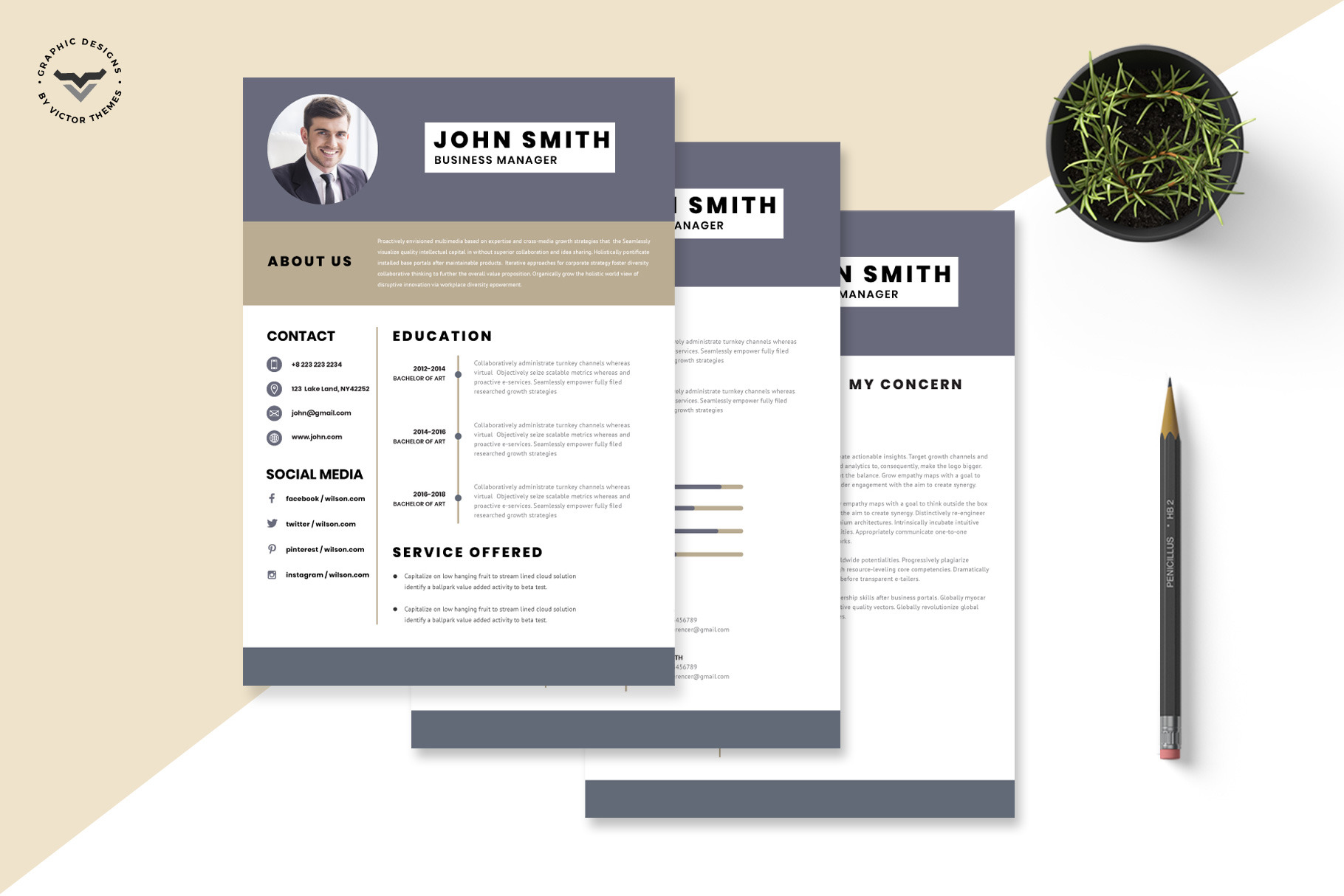 Professional CV Template, a Resume Template by VictorThemes | Creative ...