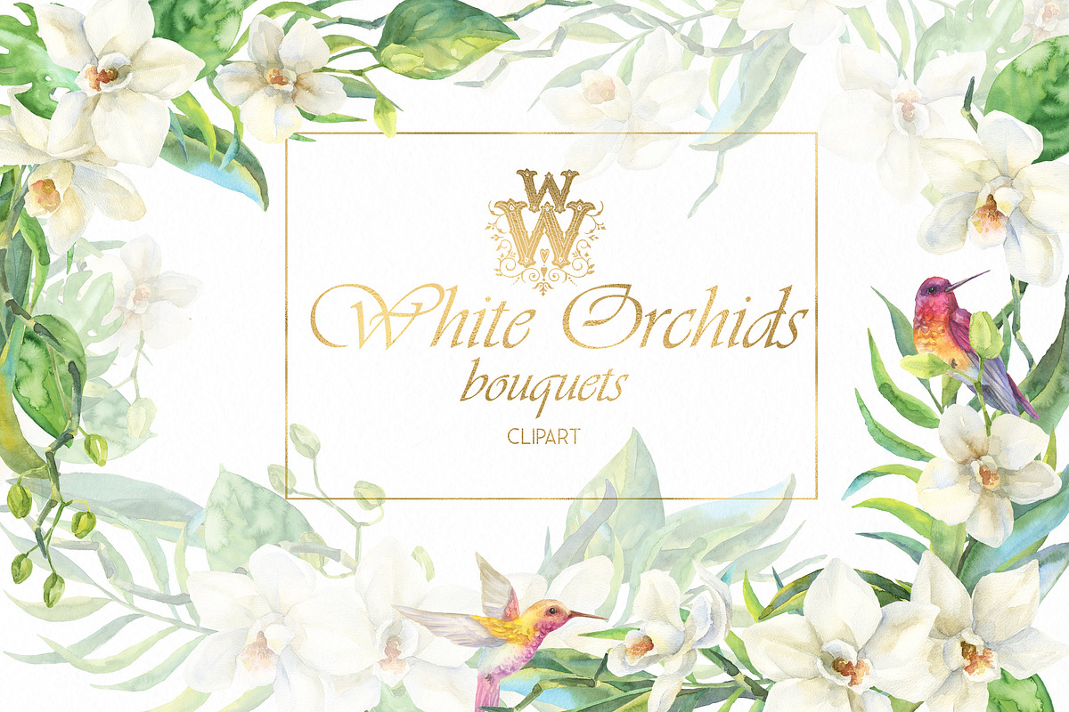White Orchids Watercolor clip art, an Illustration by WonderWonder