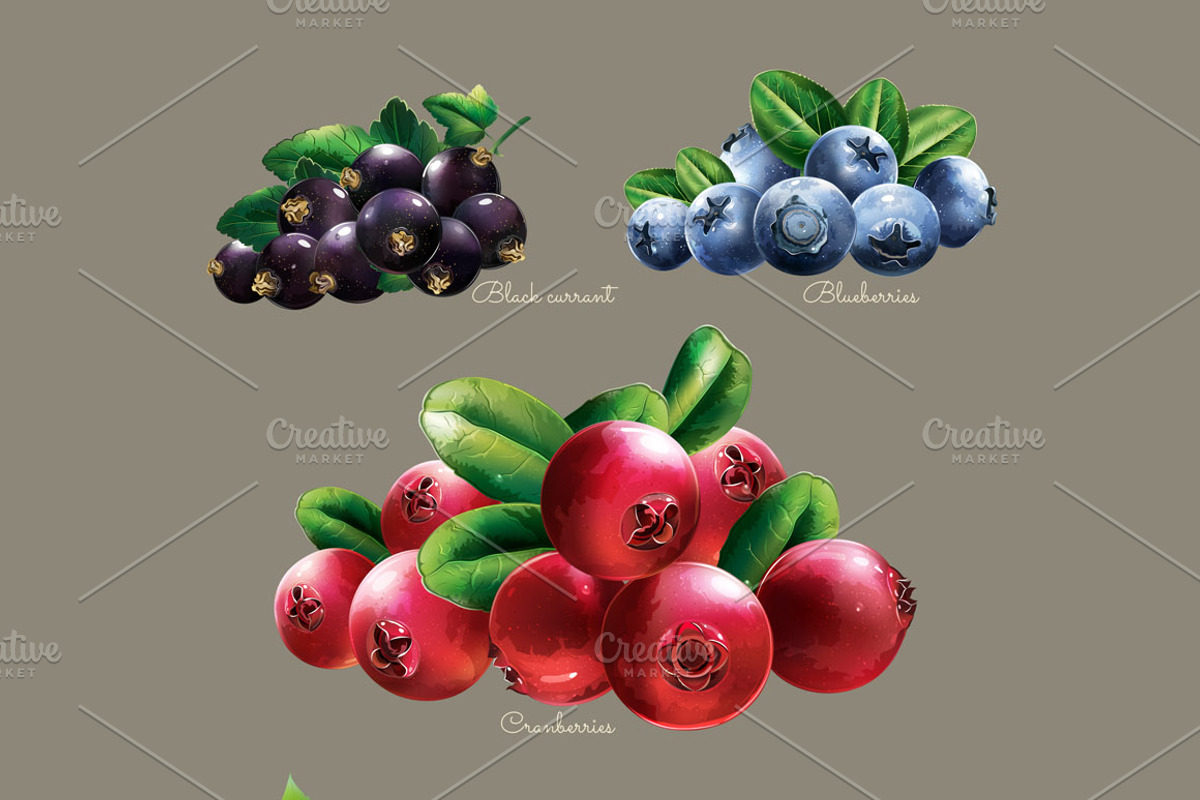 Vector Fruits & Berries, an Object Graphic by ConceptCafe