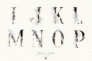Black & White Floral Alphabet, a Decorative Illustration by Webvilla ...