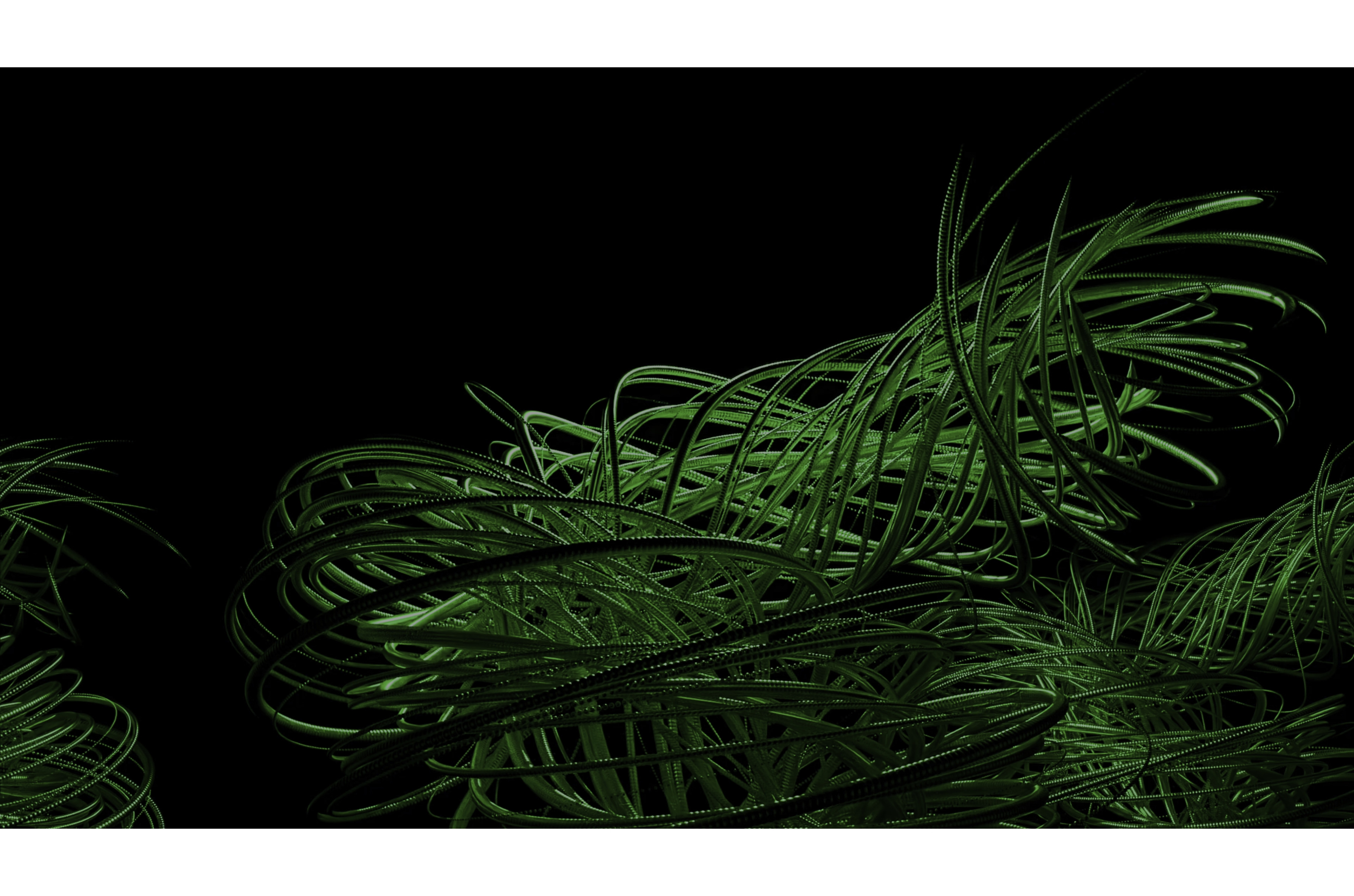 Animated lines grow like plant, a Decorative Illustration by Media ...