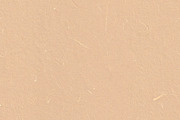 Handmade Rice Paper Texture. Pancho, Negroni, New Tan, Chamois Color ...