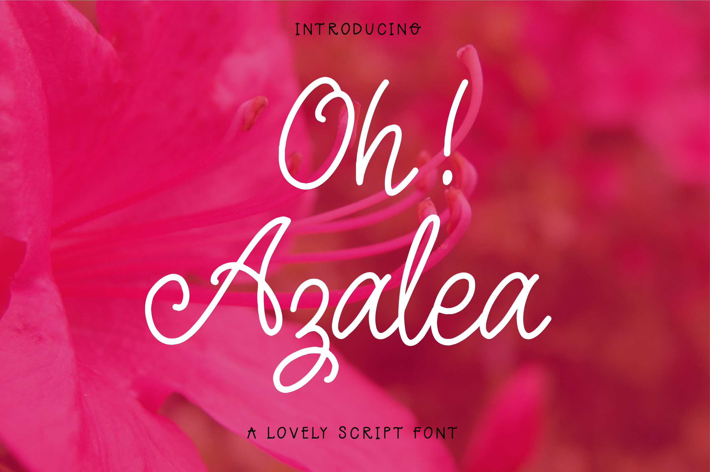Oh Azalea Script Font, a Script Font by theinkaffair