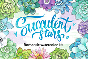 Succulent stars - romantic kit, an Object Graphic by Beauty Drops