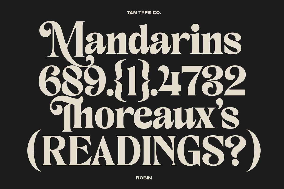 TAN - ROBIN, a Serif Font by TanType