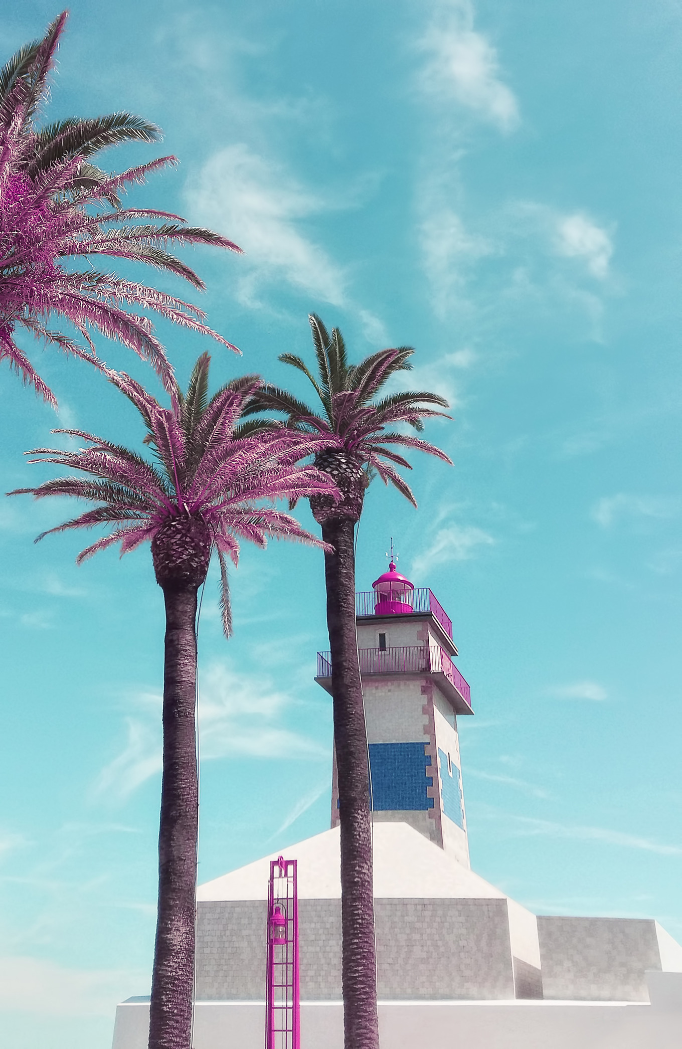 Palm tree and lighthouse, a Nature Photo by Antrisolja Photography