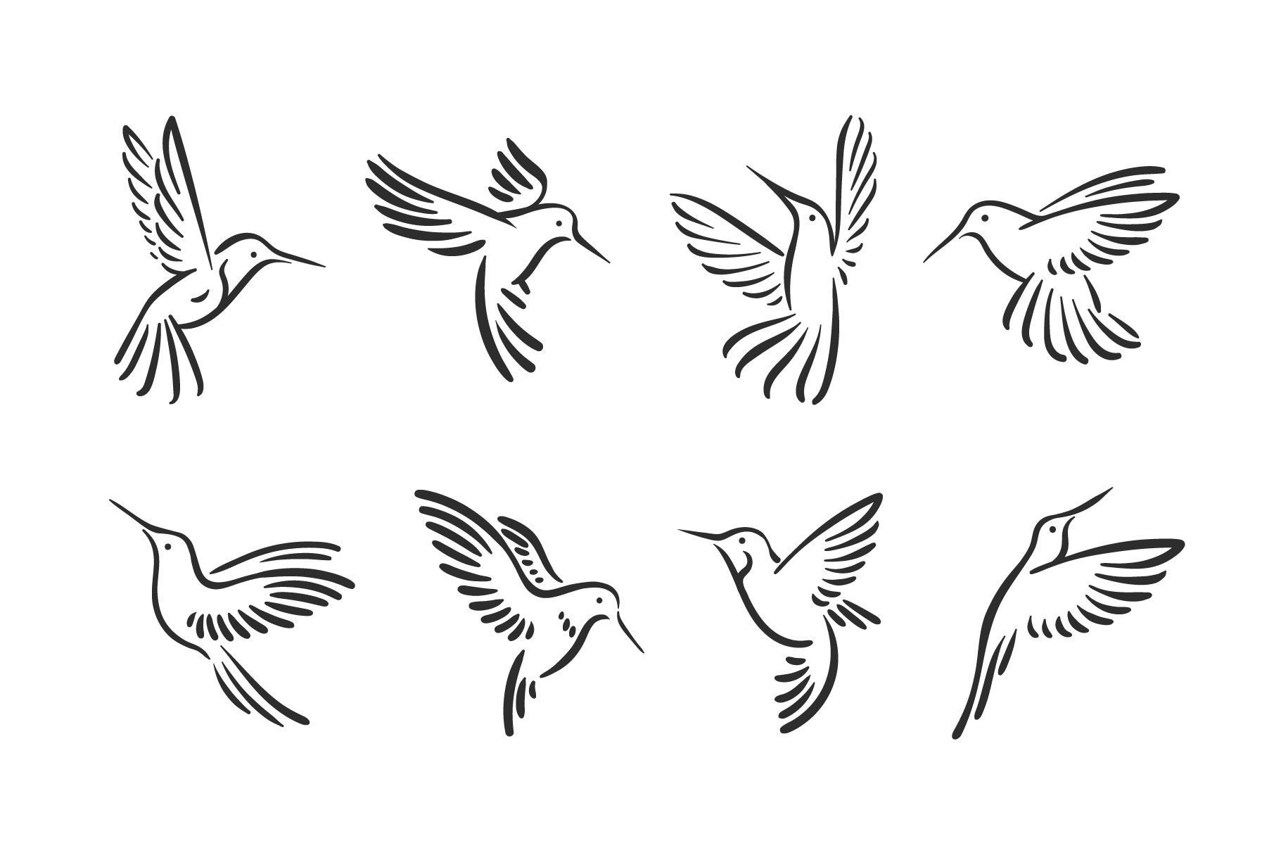 Colibri hummingbird line style set, an Animal Illustration by Artha ...