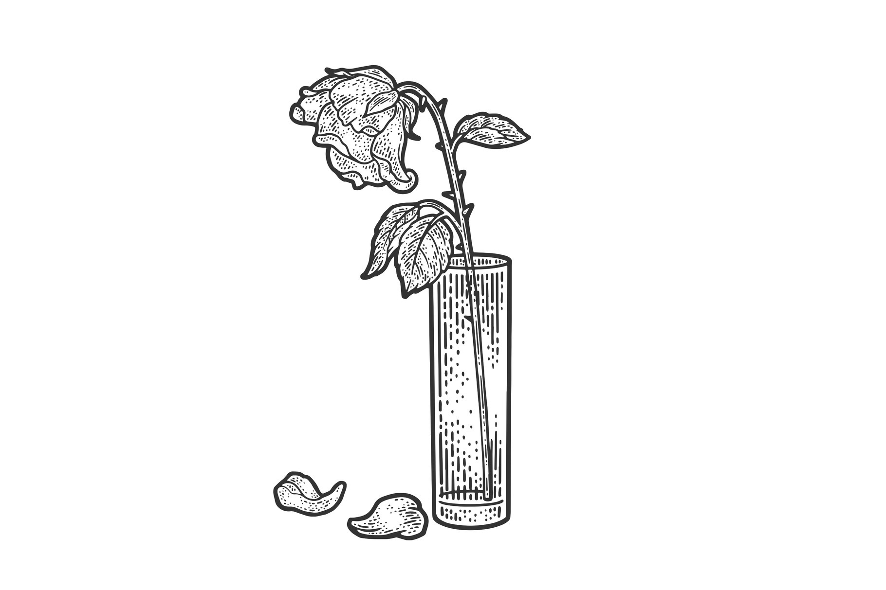 wilted rose sketch vector, an Object Illustration by AlexArt