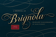 Brignola - Elegant Calligraphy, a Script Font by Adam Fathony