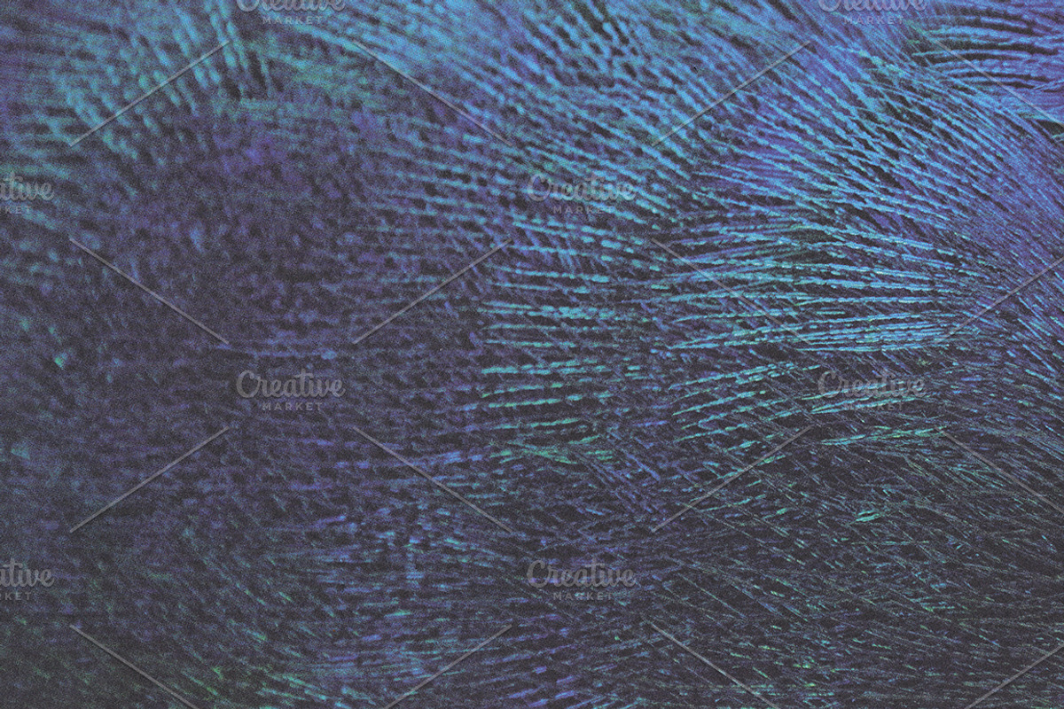 Feather Textures, a Texture Graphic by Blue Line Design