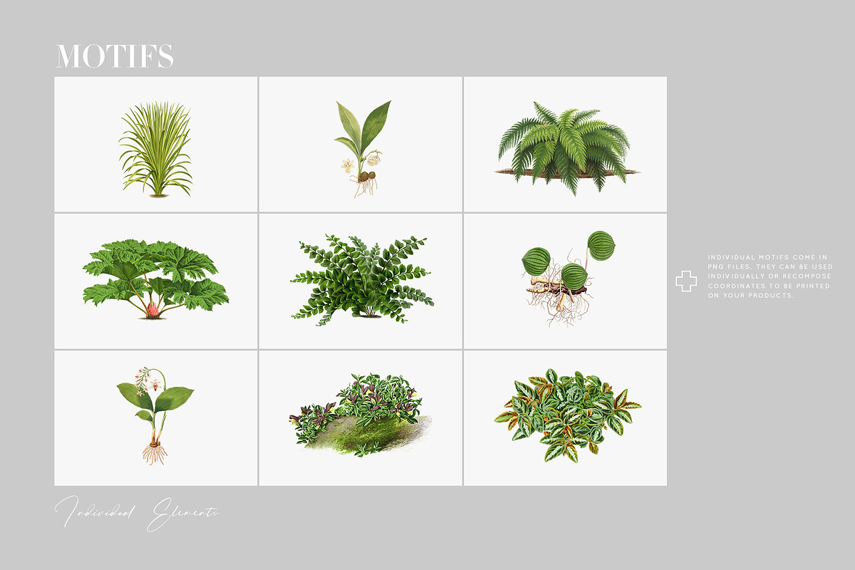 Tropical Botanical Seamless Patterns