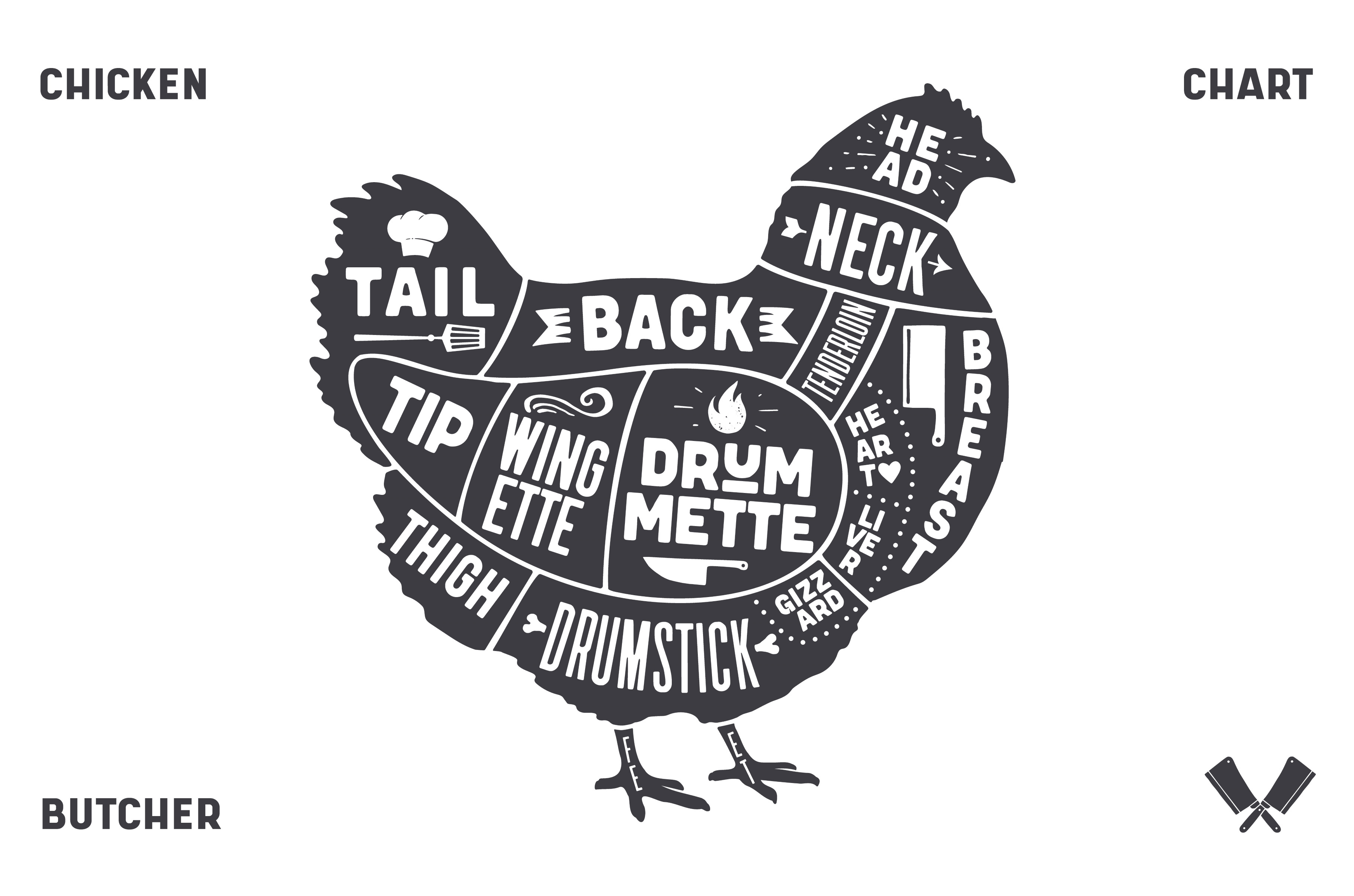 Chicken, hen. Scheme, diagram, chart, an Animal Illustration by Foxys ...
