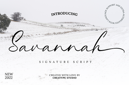 Sinteria Signature | Script Fonts ~ Creative Market