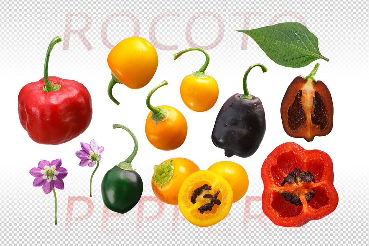Rocoto peppers, an Object Graphic by Hortimages