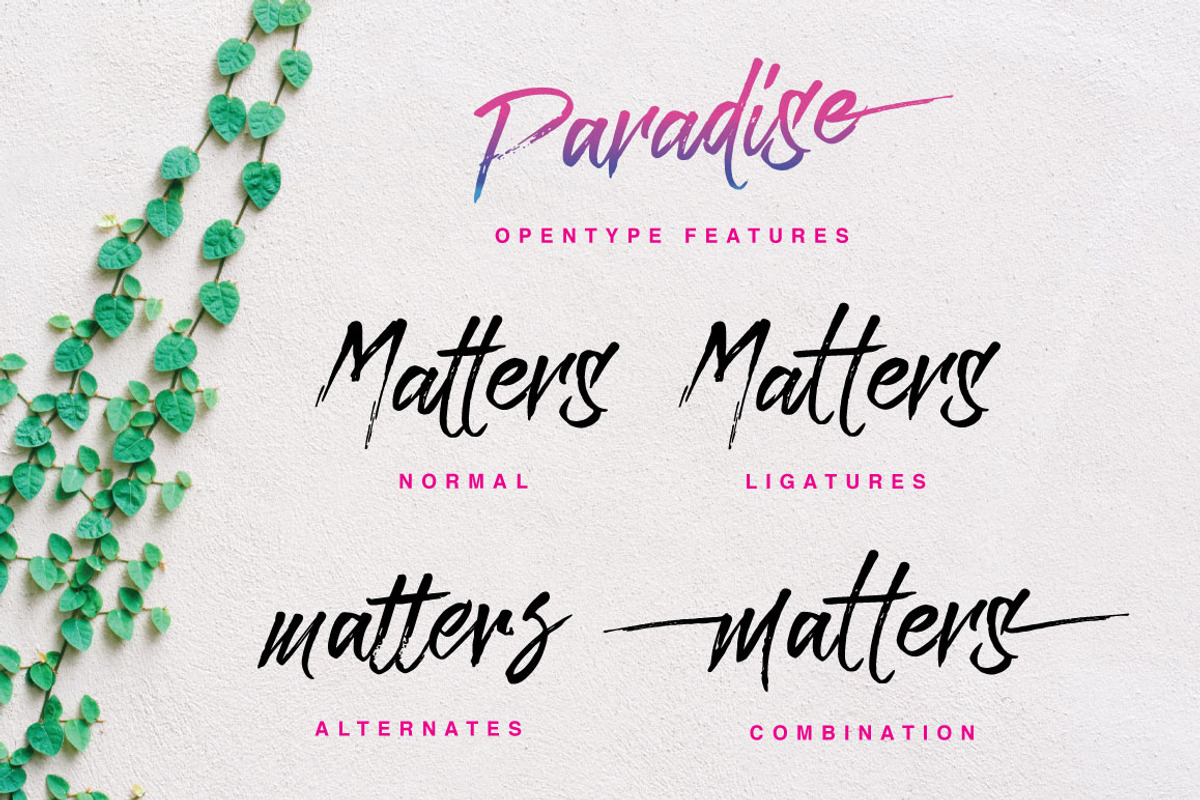 Paradise Typeface, a Script Font by QueenType
